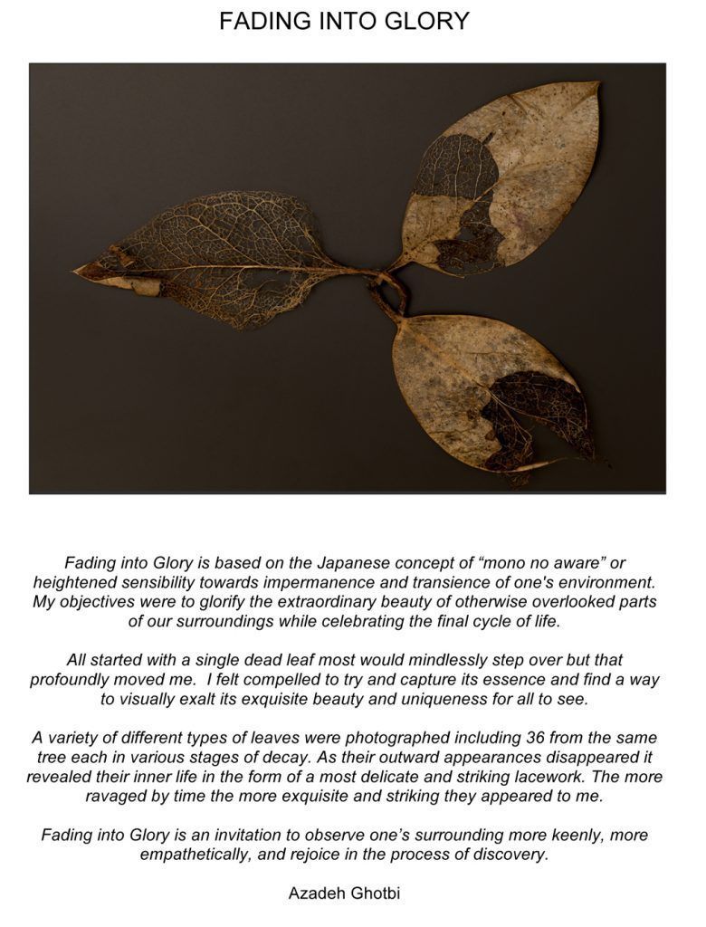 From Ivy League Campus to Abstract Canvas: A Portrait of the Artist ...