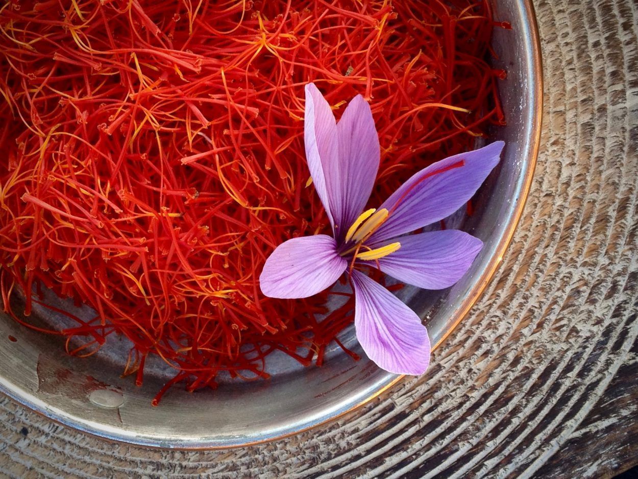 A Saffron Masterclass - KAYHAN LIFE